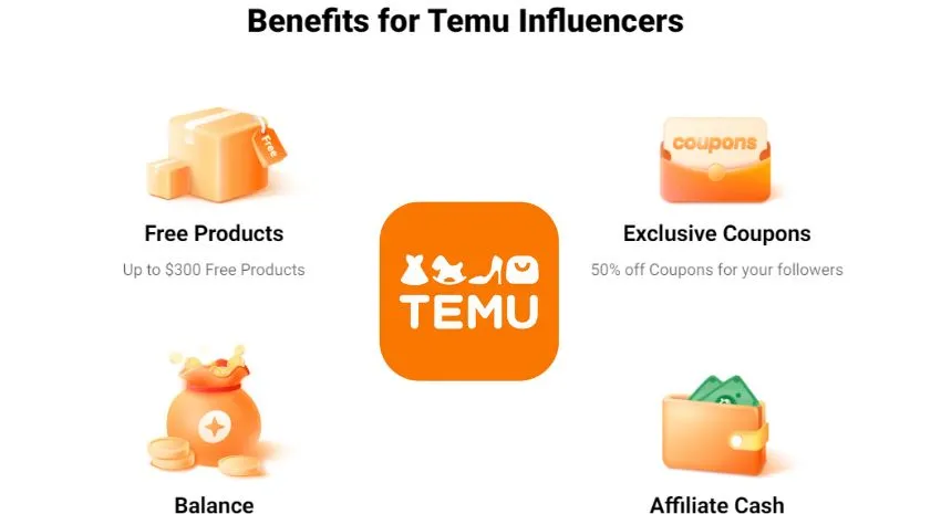 How To Become A Temu Reviewer And Get Paid [2023]